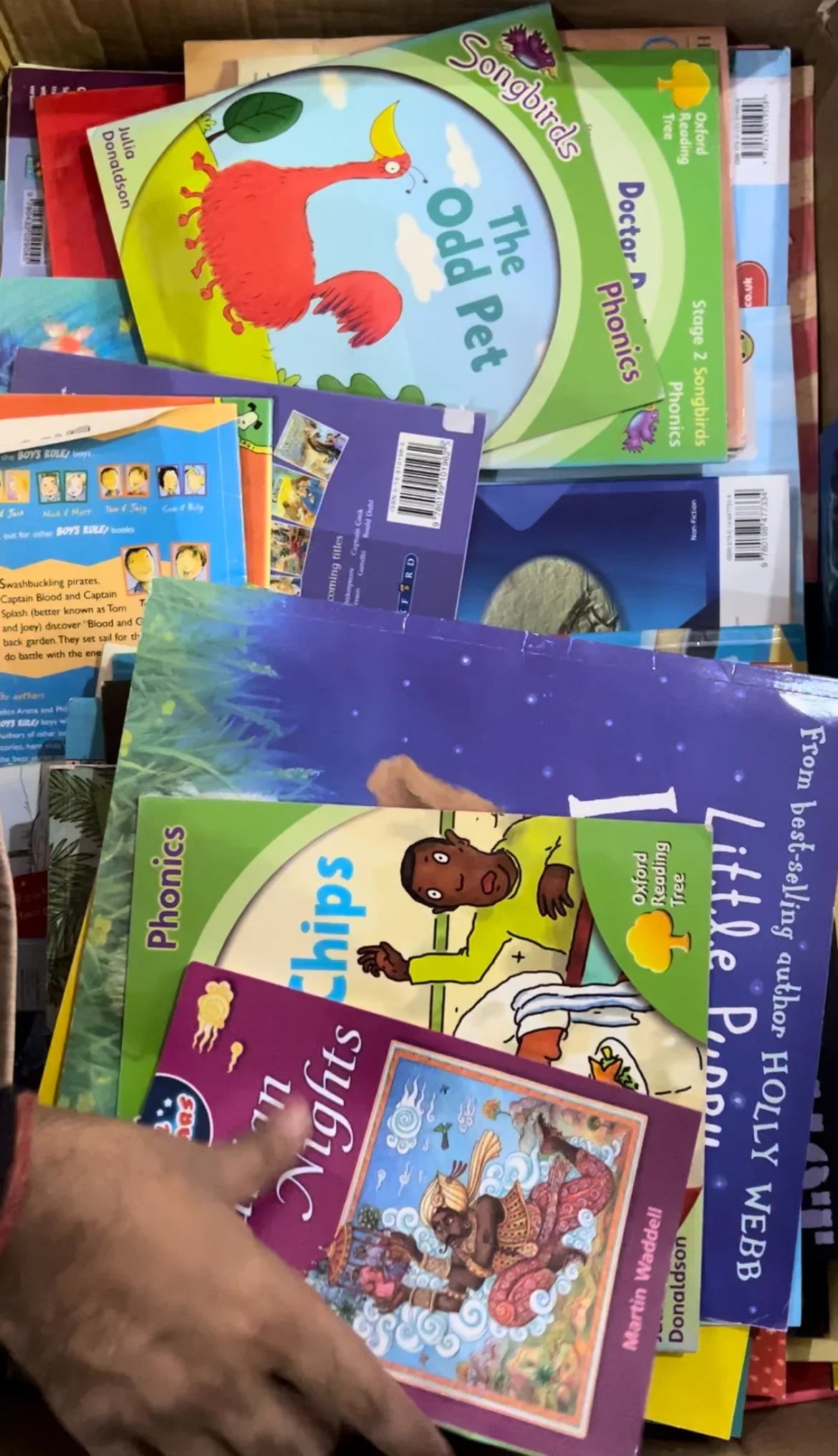 Kids Preloved Books — eLocalshop